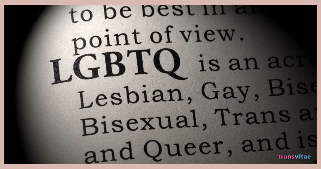 Lgbtq Ally 101 Understanding Key Terminology Transvitae