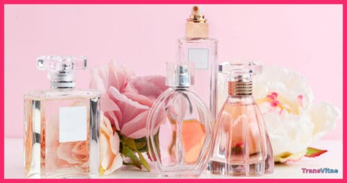 Choosing Scents to Empower and Express Your Unique Trans Identity