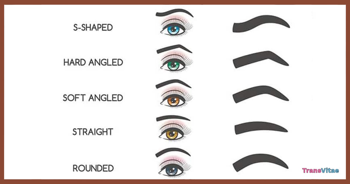 Eyebrow Shaping Tips for Transgender Women: Find Your Best Look