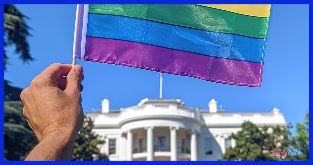 Trans Allies Mobilize: Challenging the New Gender Restrictions