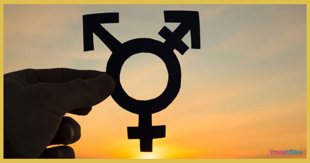 Understanding the Transgender Symbol and Its Rich Legacy
