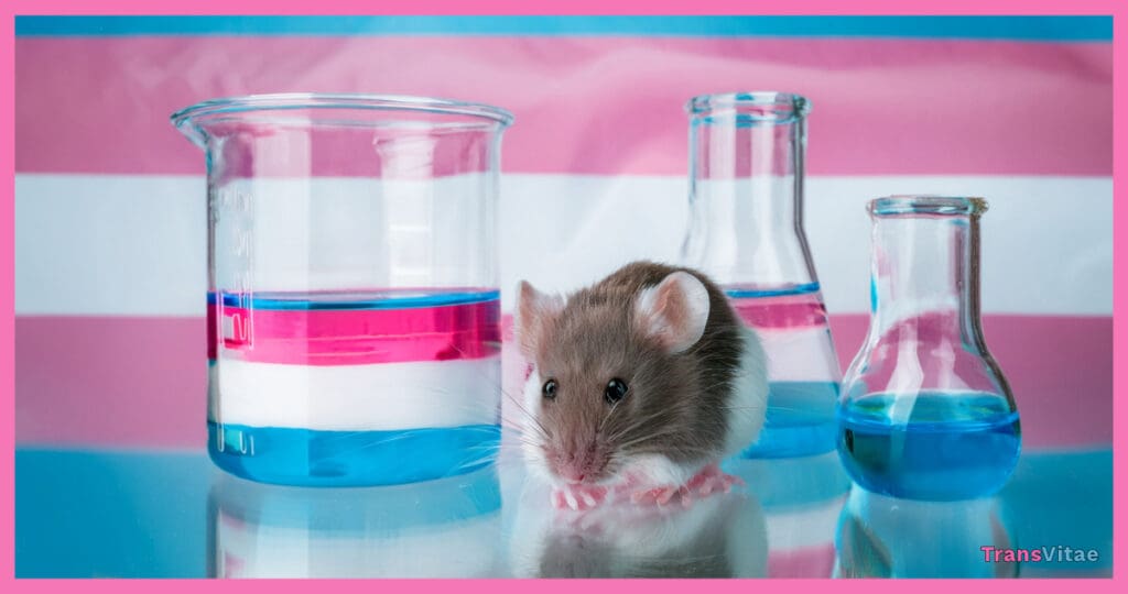 Trump’s ‘Transgender Mice’ Gaffe Sparks Internet Mockery