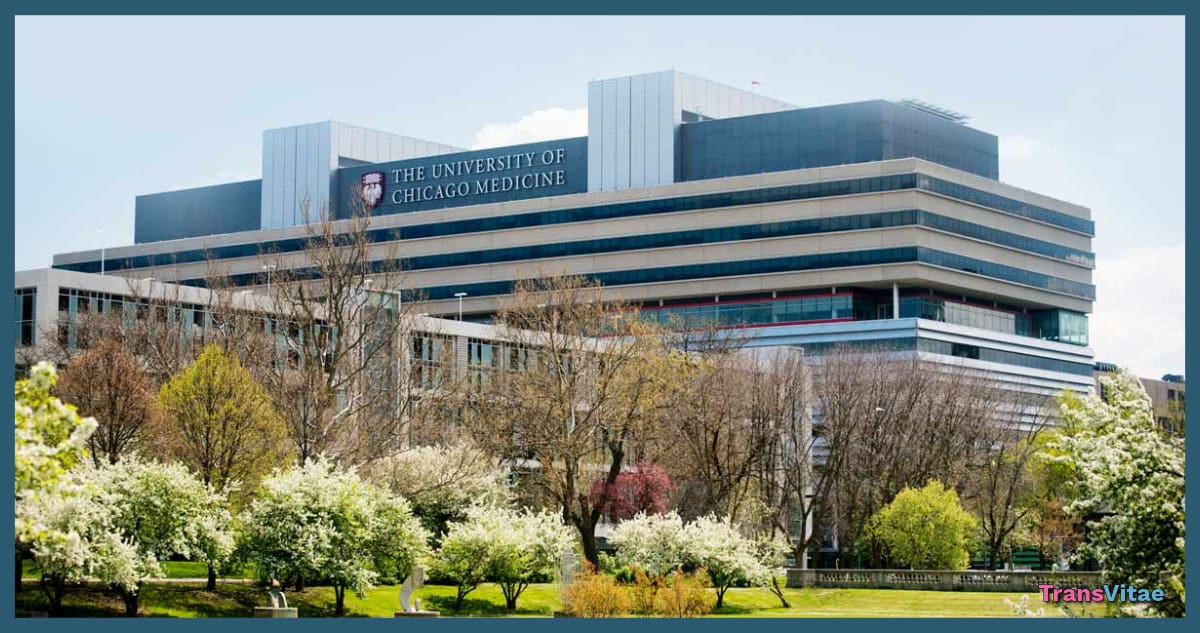 UChicago Suspends Gender-Affirming Treatment for Minors